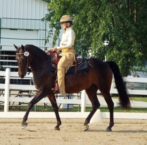 Western Dressage Lessons | KKM Stables